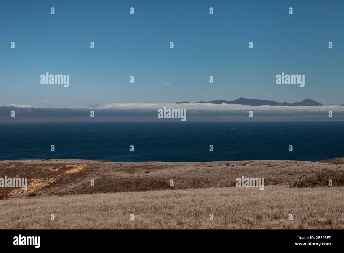 Santa Rosa Island, Channel Islands Stock Photo - Alamy