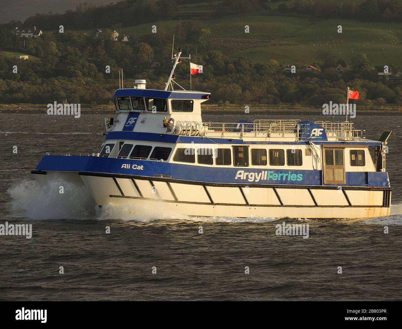 The Argyll Ferries passenger ferry Ali Cat, off Gourock on the Firth of ...