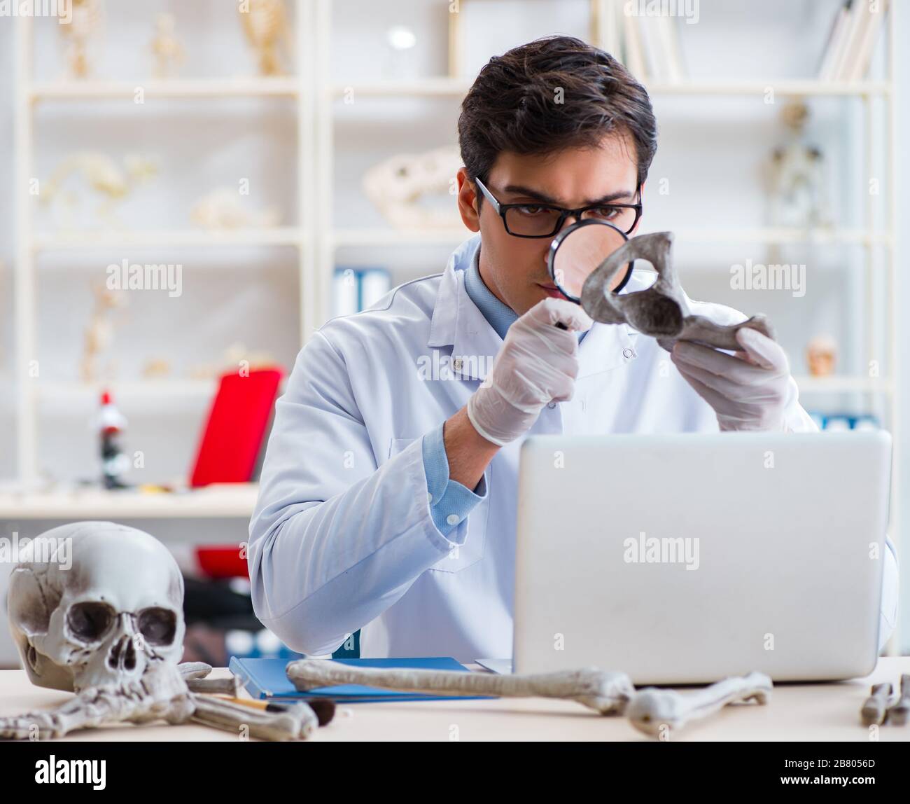 The professor studying human skeleton in lab Stock Photo - Alamy