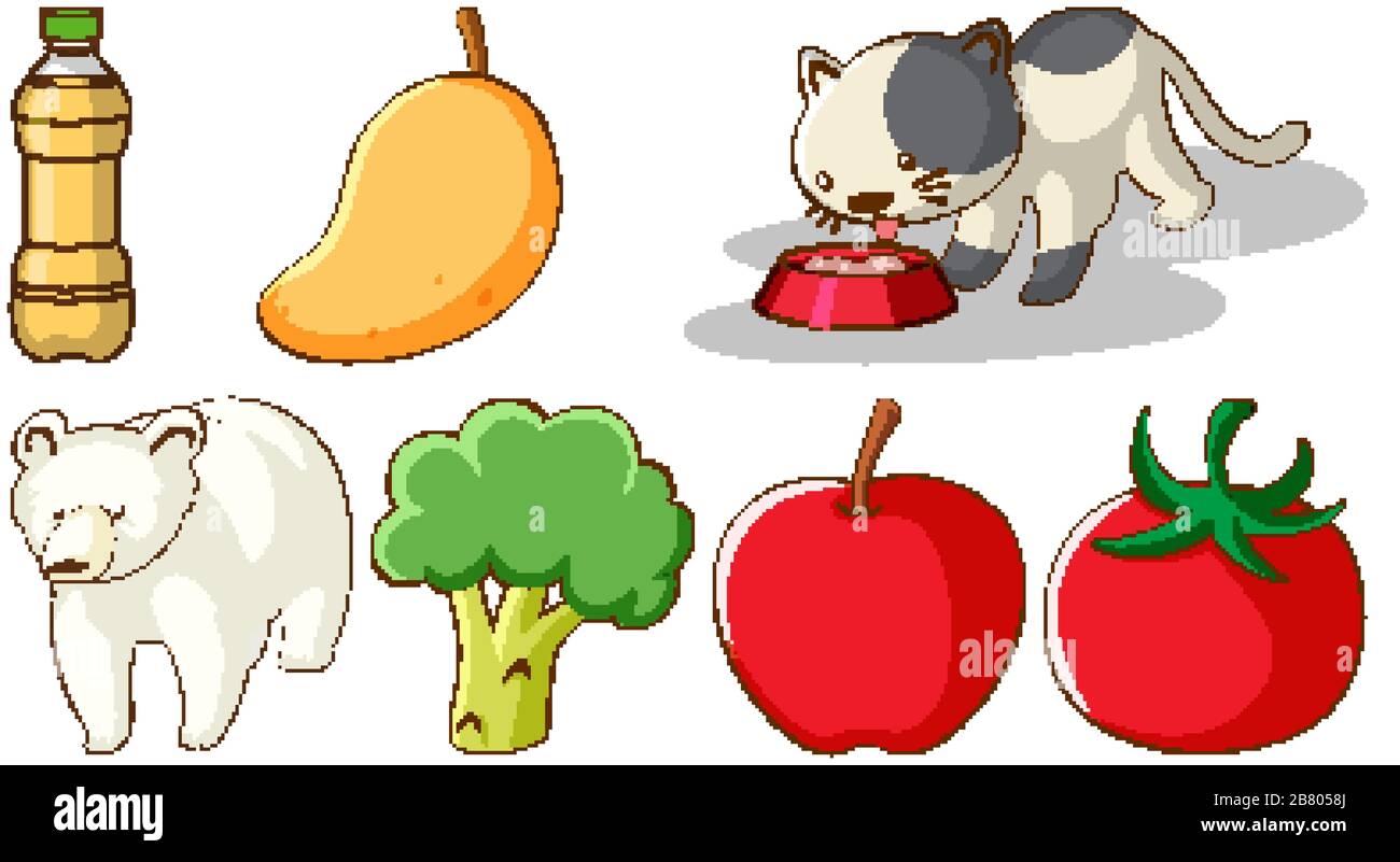 Large set of different animals and other objects on white background ...