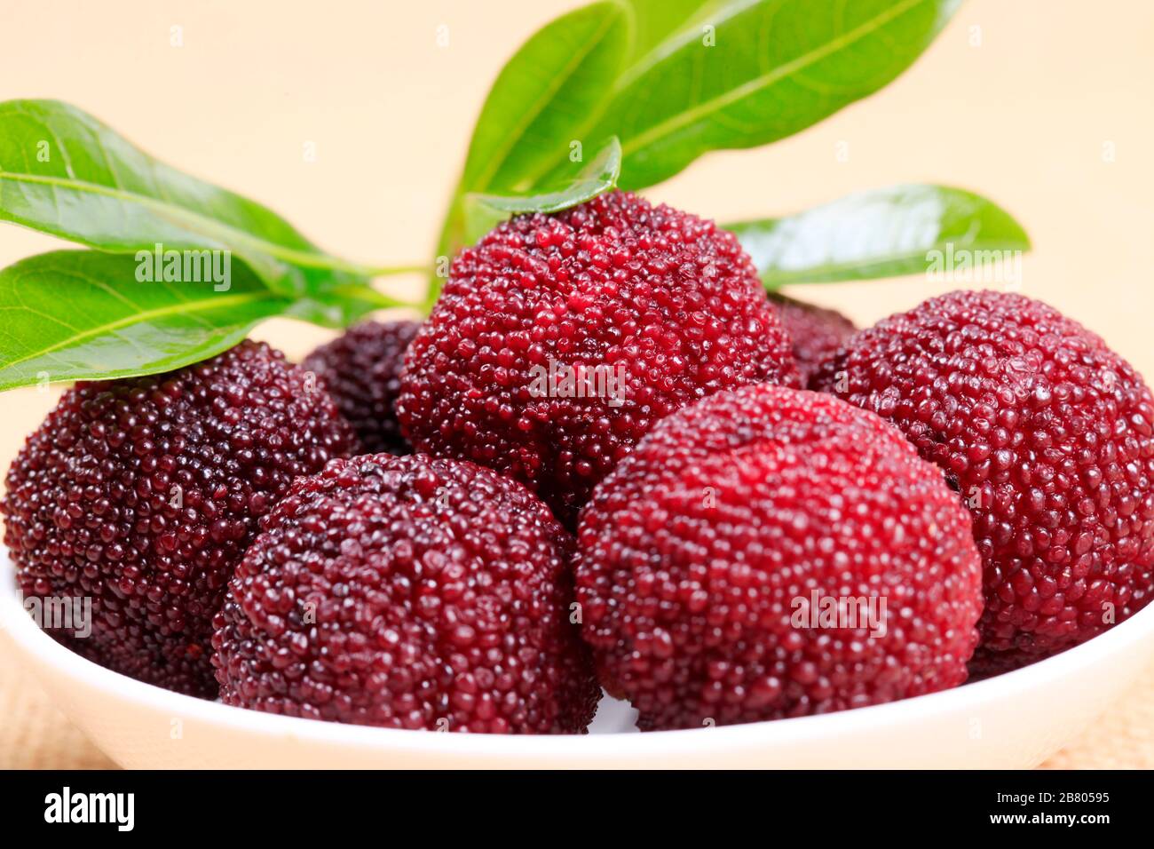The waxberry，Close-up, studio shot Stock Photo - Alamy