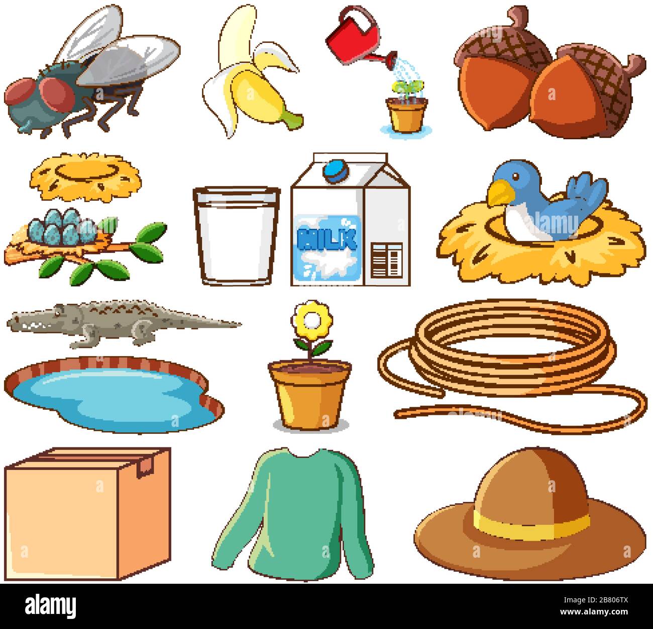 Large set of different animals and other objects on white background ...