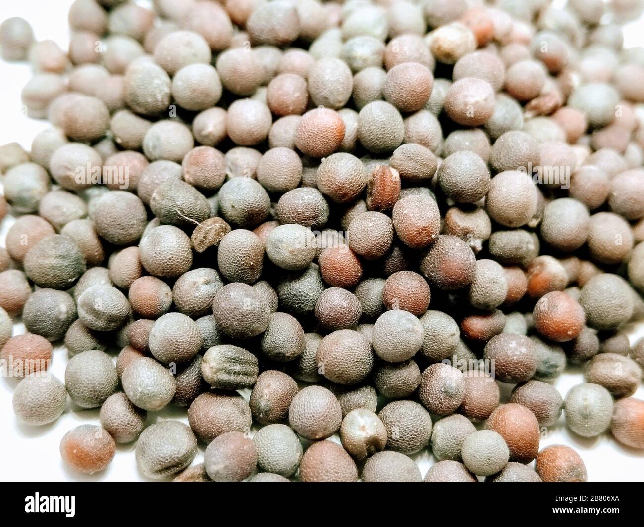 A picture of mustard Stock Photo - Alamy