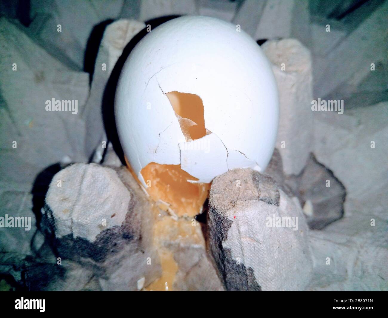 A picture of egg's Stock Photo - Alamy