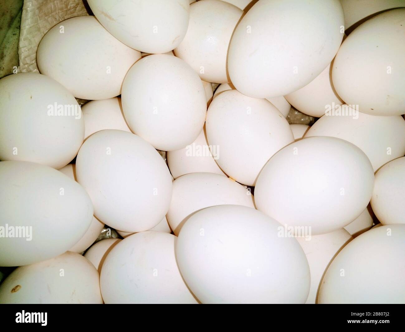 A picture of egg's Stock Photo - Alamy