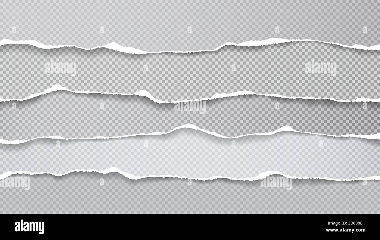 Pieces of torn, ripped horizontal white, grey paper with soft shadow ...