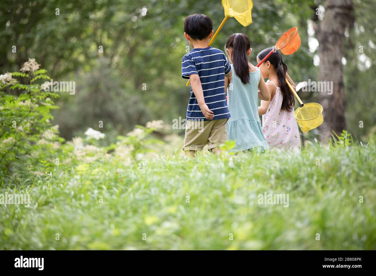 Three Chinese children playing on grass Stock Photo - Alamy