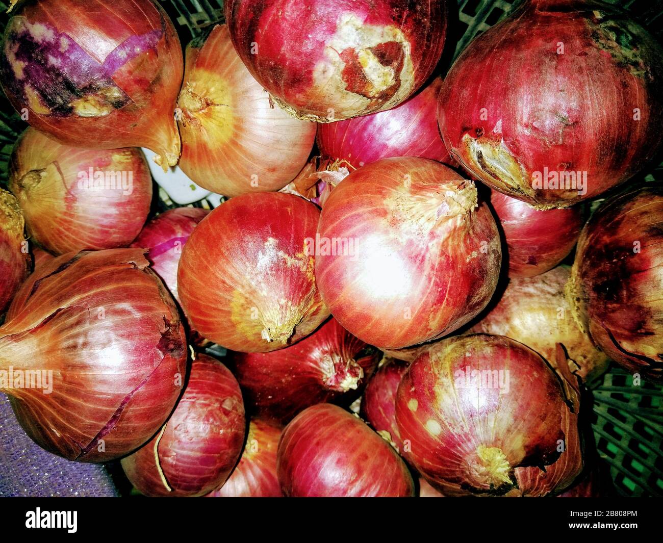 A picture of onions Stock Photo - Alamy