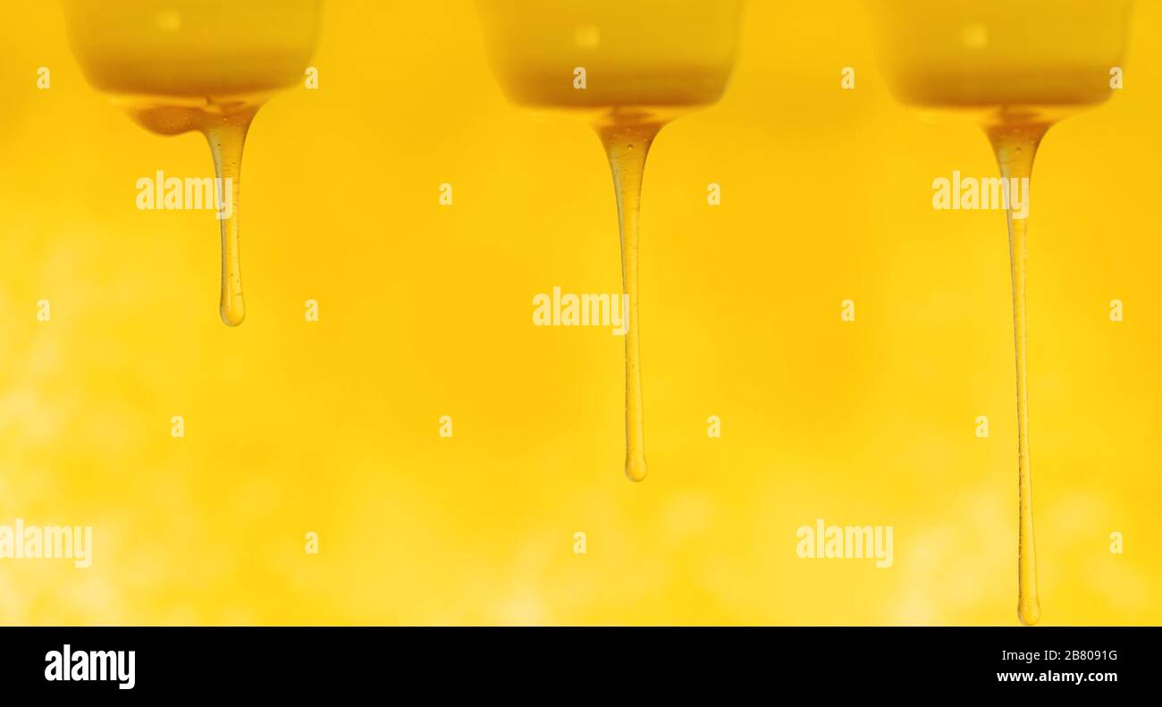 Dripping golden honey. Orange honey splashes. Honey flow dropping. Wide ...