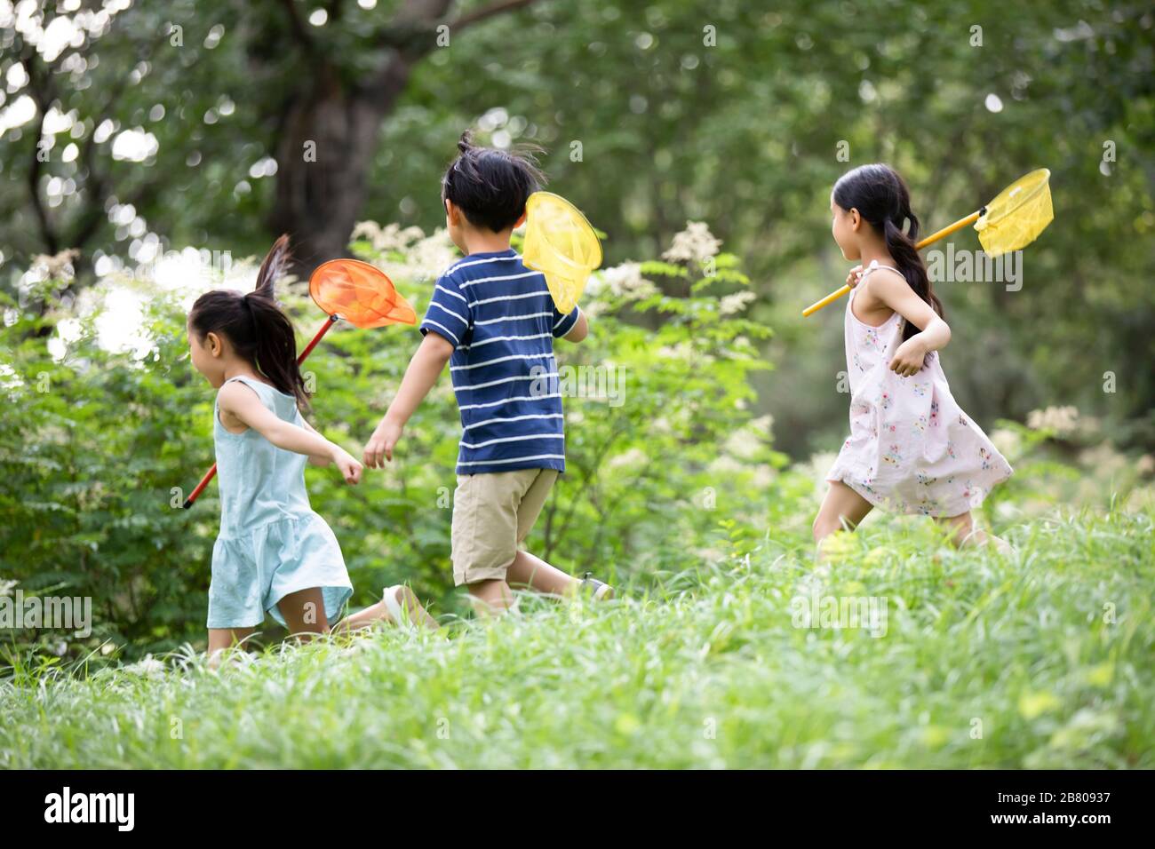 Three Chinese children playing on grass Stock Photo - Alamy