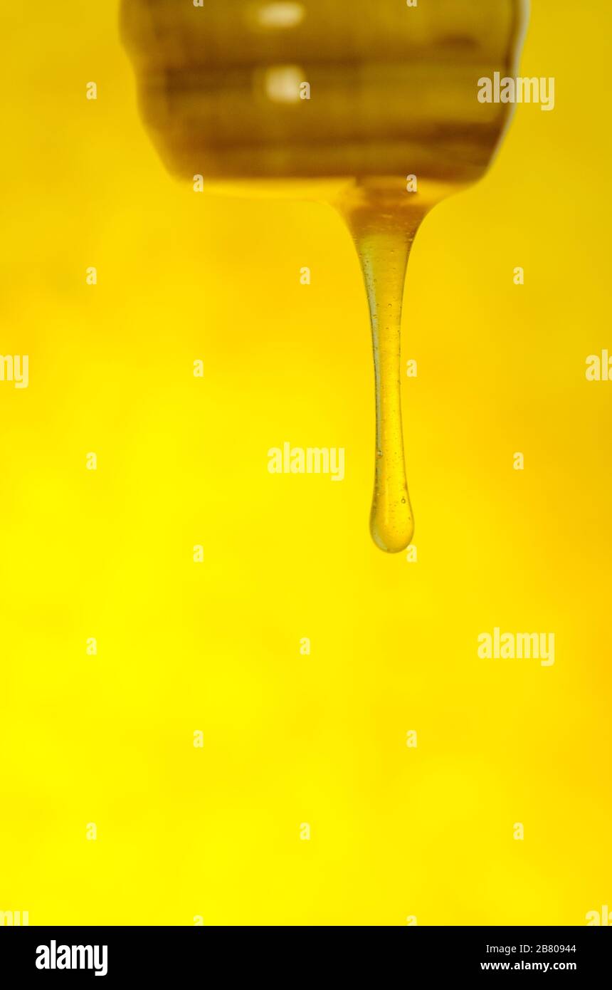 Liquid stream of sweet amber flower honey flows. Liquid and viscous ...