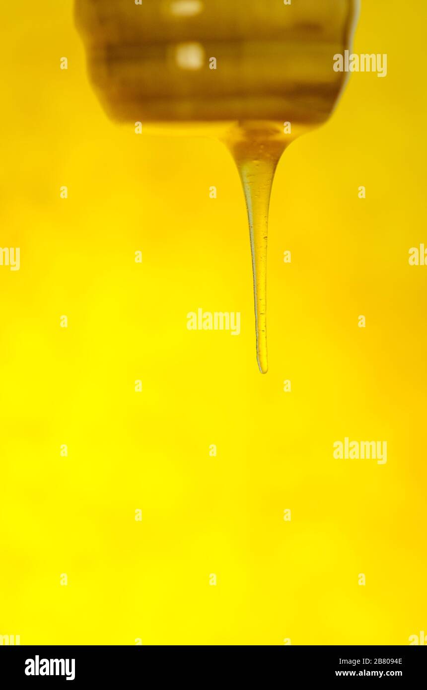 Honey flow dropping. Sweet amber flower honey flows Stock Photo - Alamy