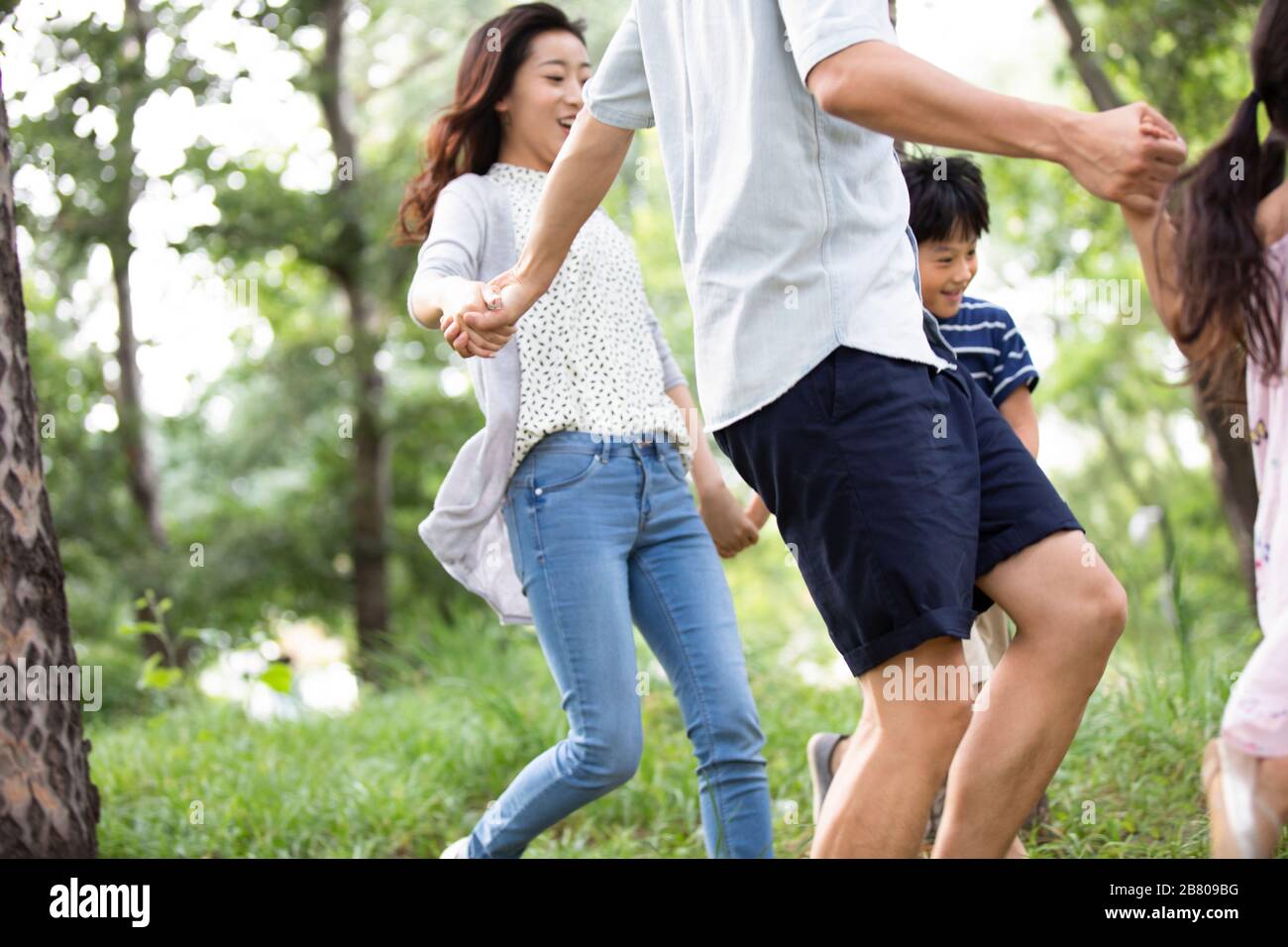 Two part family tree hi-res stock photography and images - Alamy