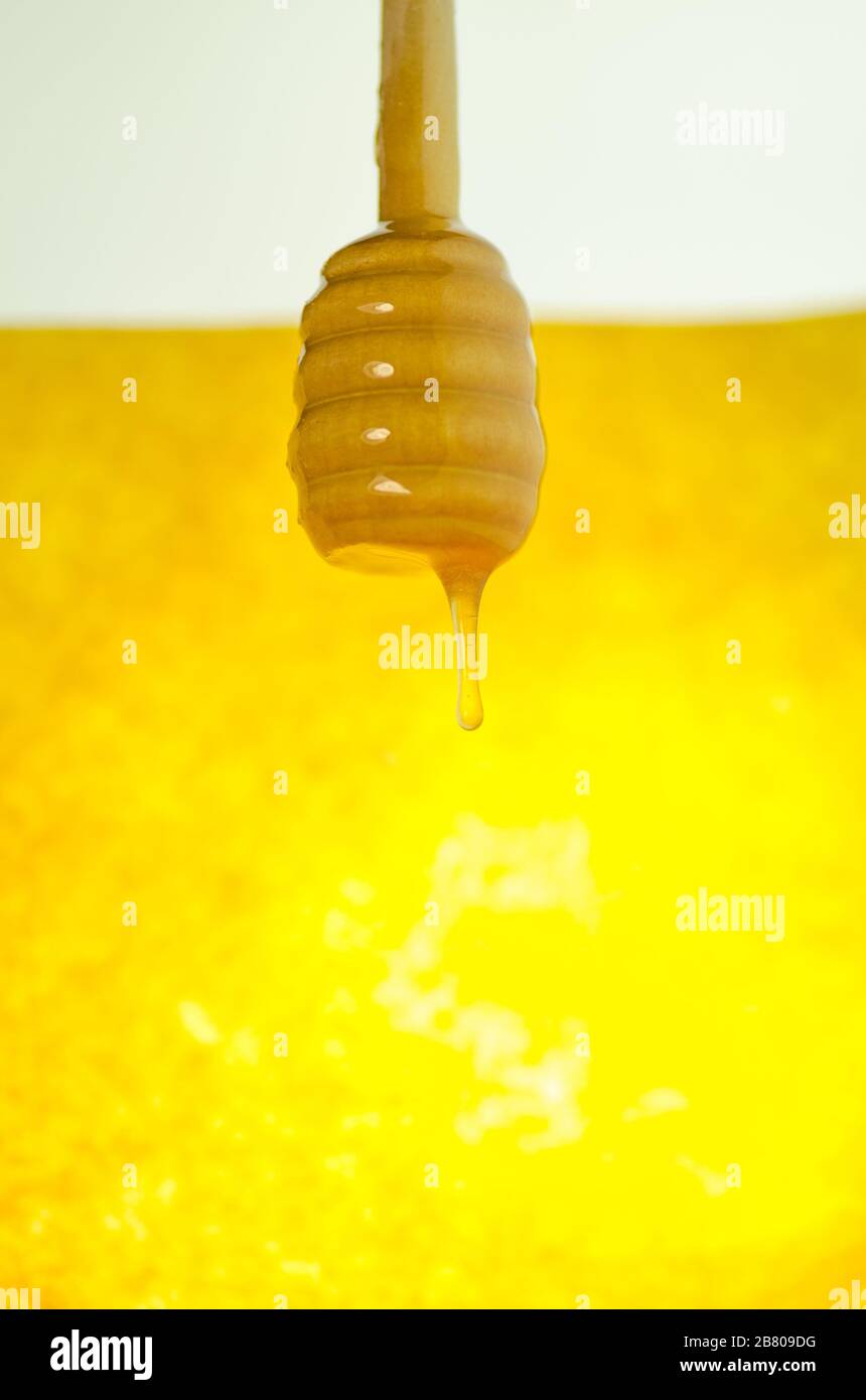 Dripping golden honey. Orange honey splashes. Honey flow dropping Stock ...