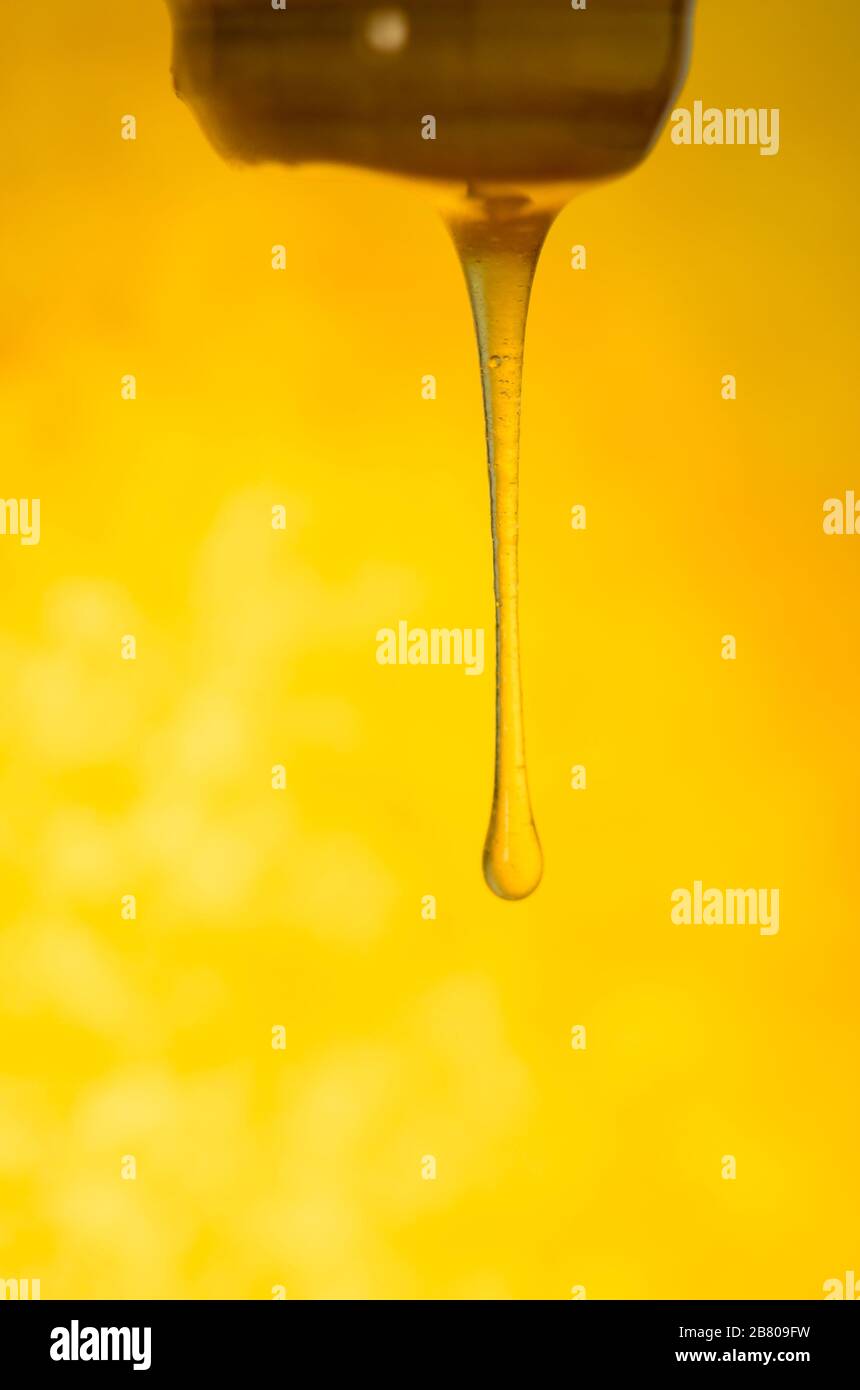 Honey flow dropping. Sweet amber flower honey flows Stock Photo - Alamy