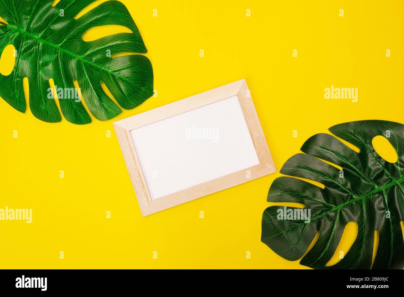 Tropical botanical background with a space for a text, view from above ...