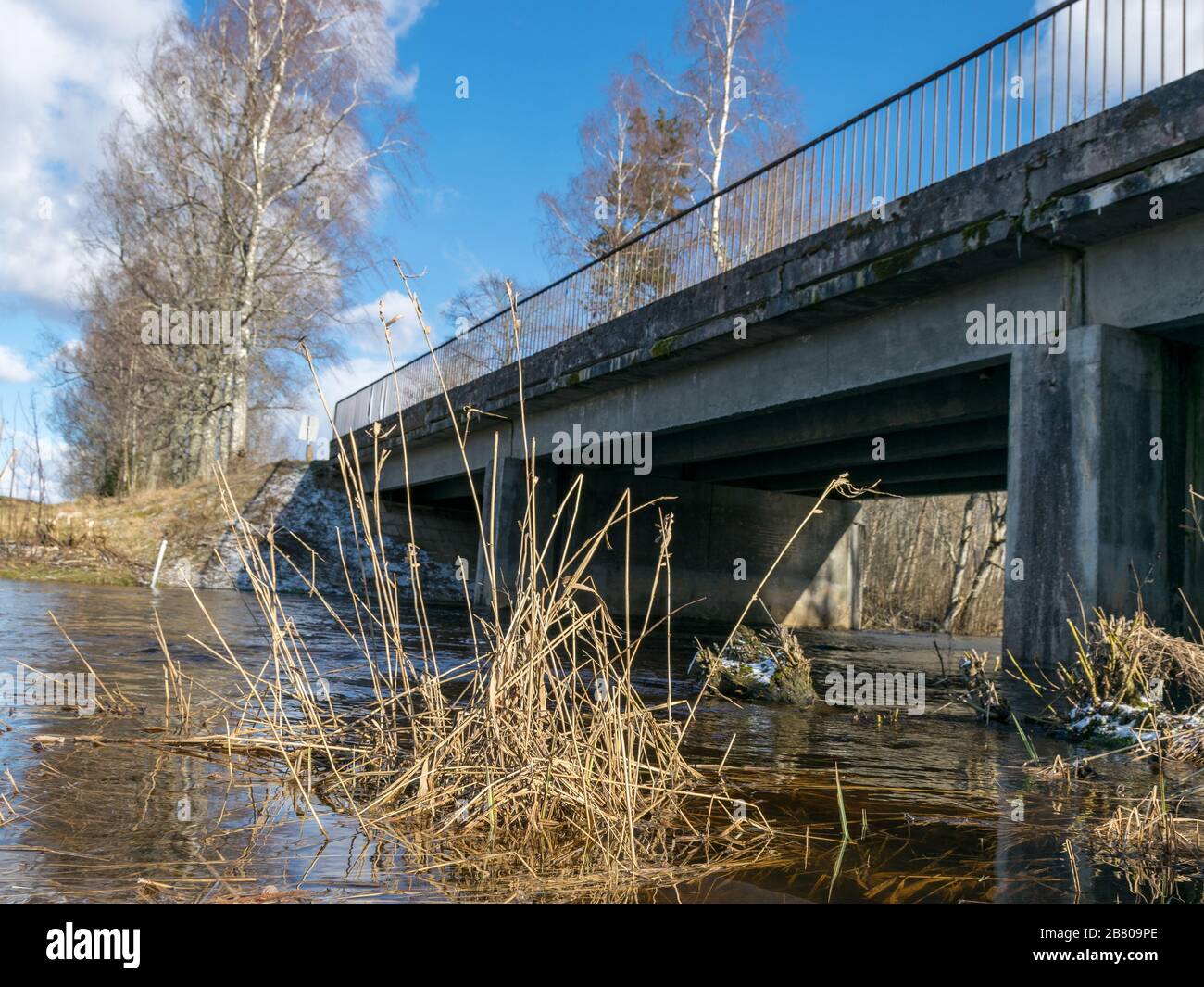 spring landscape with bridge, pictures of old grass and shrubs in the ...