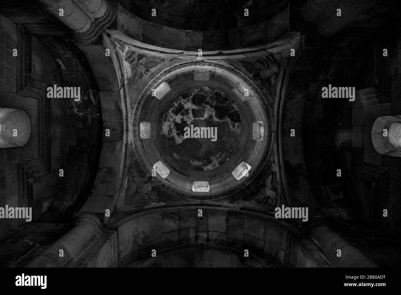 Child insect closeup Black and White Stock Photos & Images - Alamy