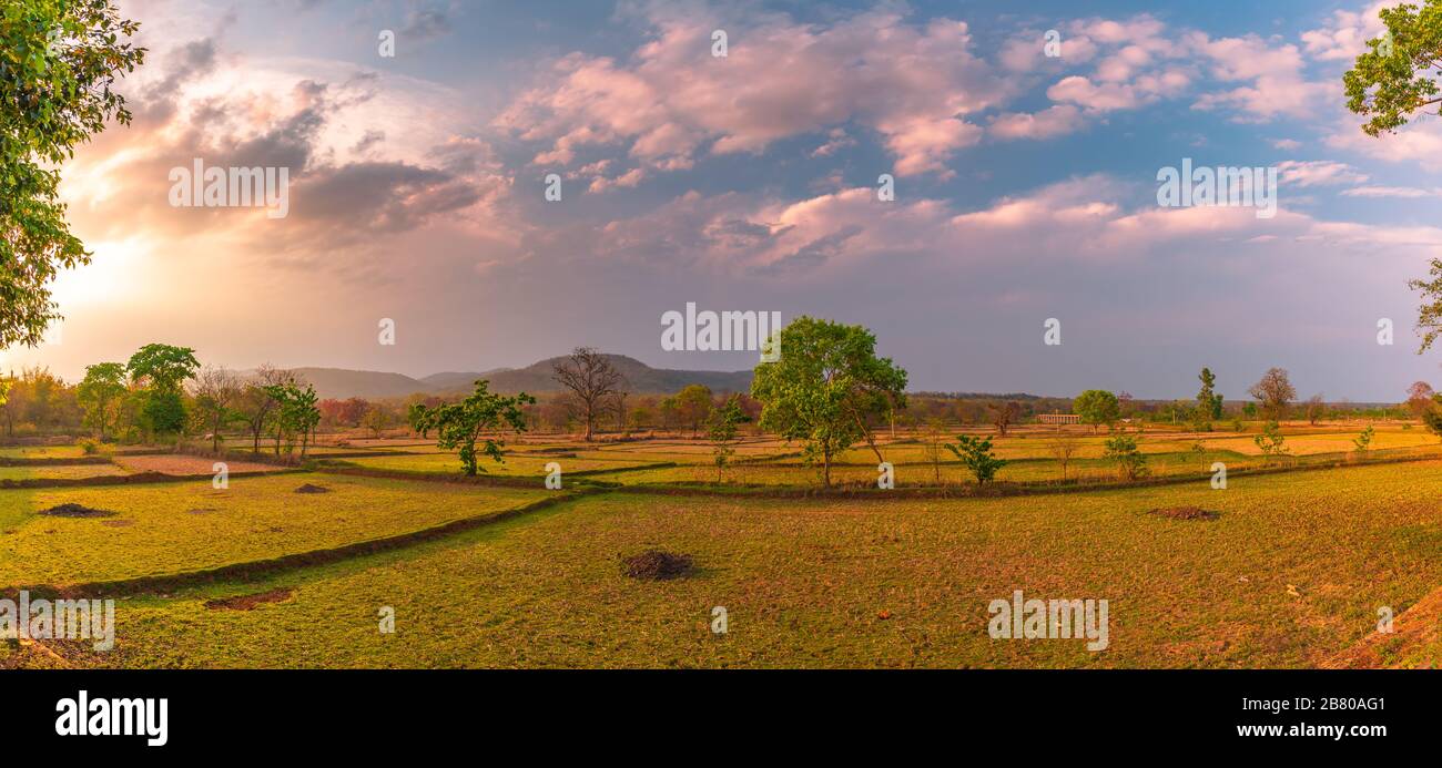 Landscape of rural odisha hi-res stock photography and images - Alamy