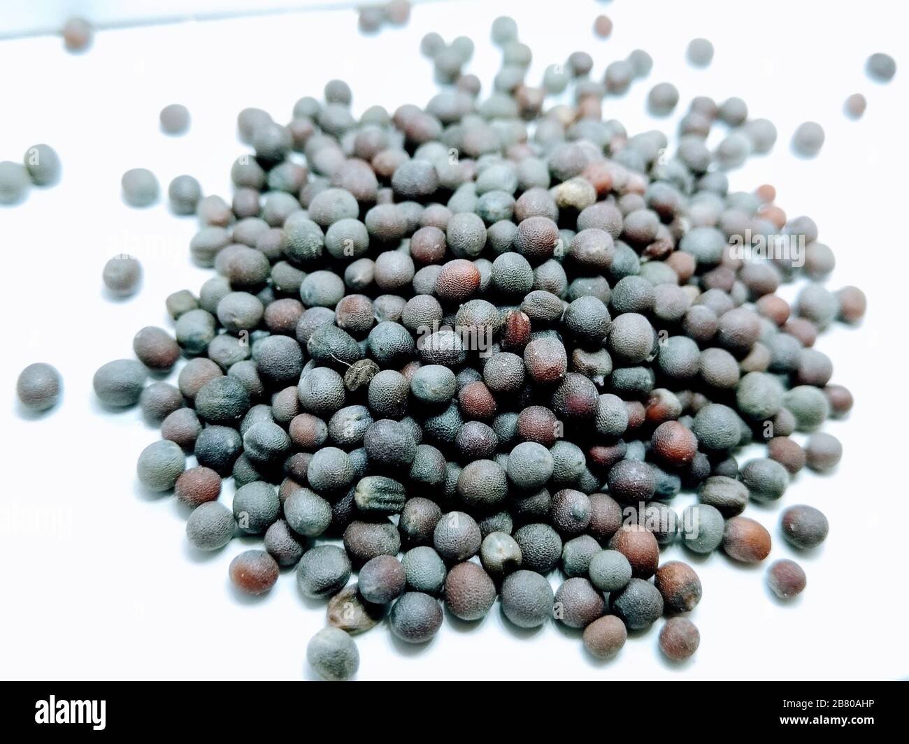 A picture of mustard Stock Photo - Alamy