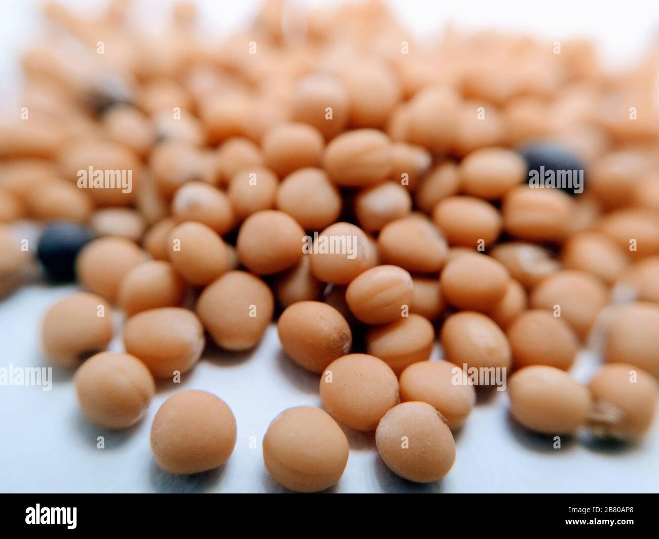 A picture of mustard Stock Photo - Alamy