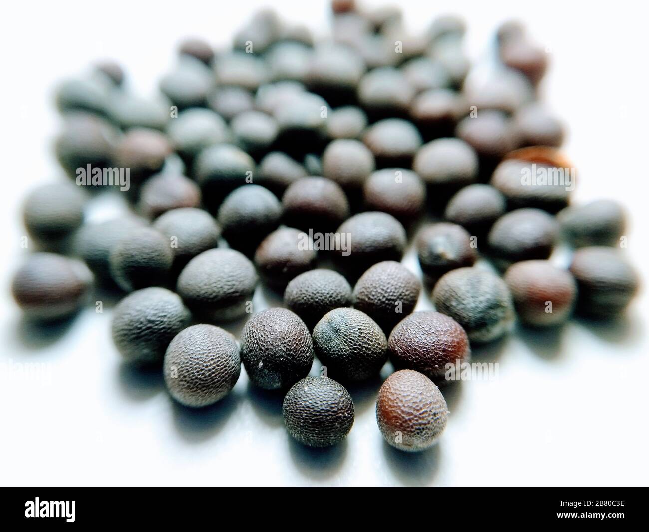 A picture of mustard Stock Photo - Alamy