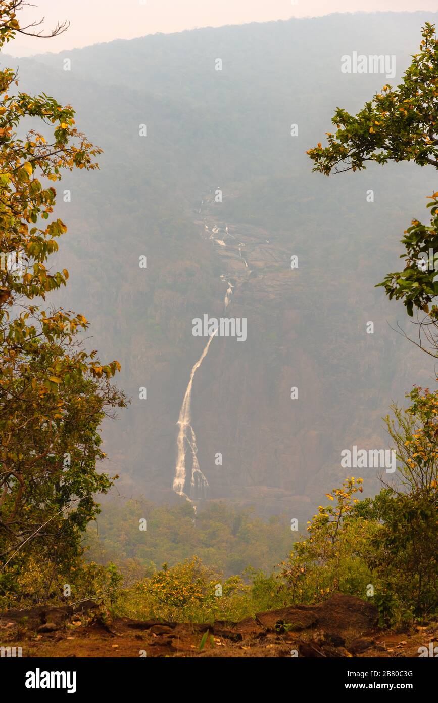 Shimlipal national park hi-res stock photography and images - Alamy