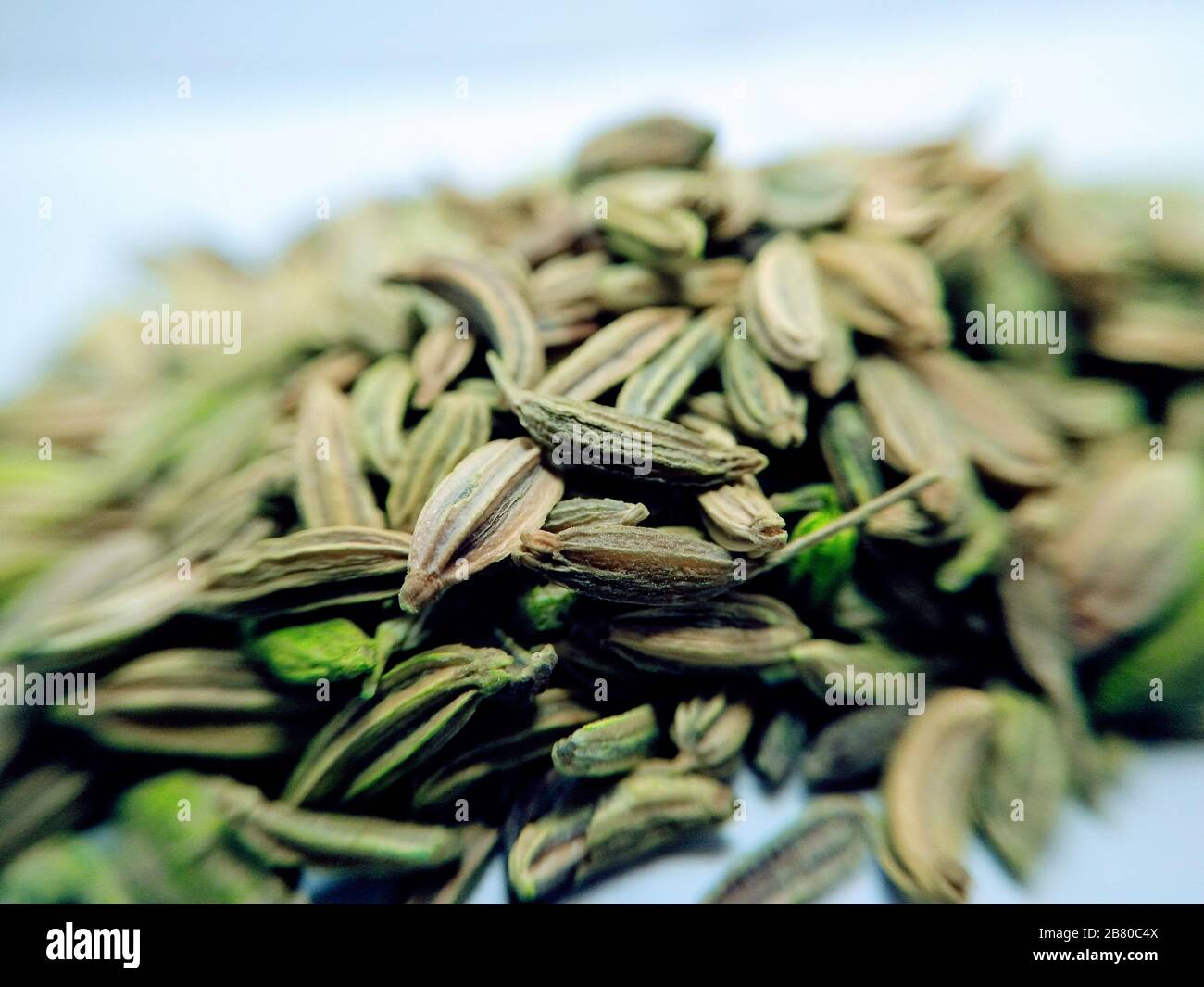 A picture of fennel seeds Stock Photo - Alamy