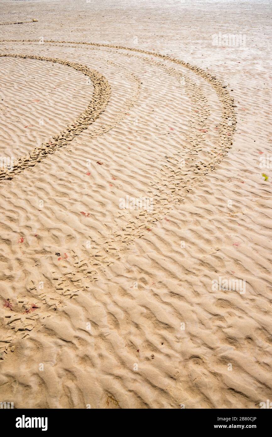Wheel mark on the sandy at the beach Stock Photo - Alamy