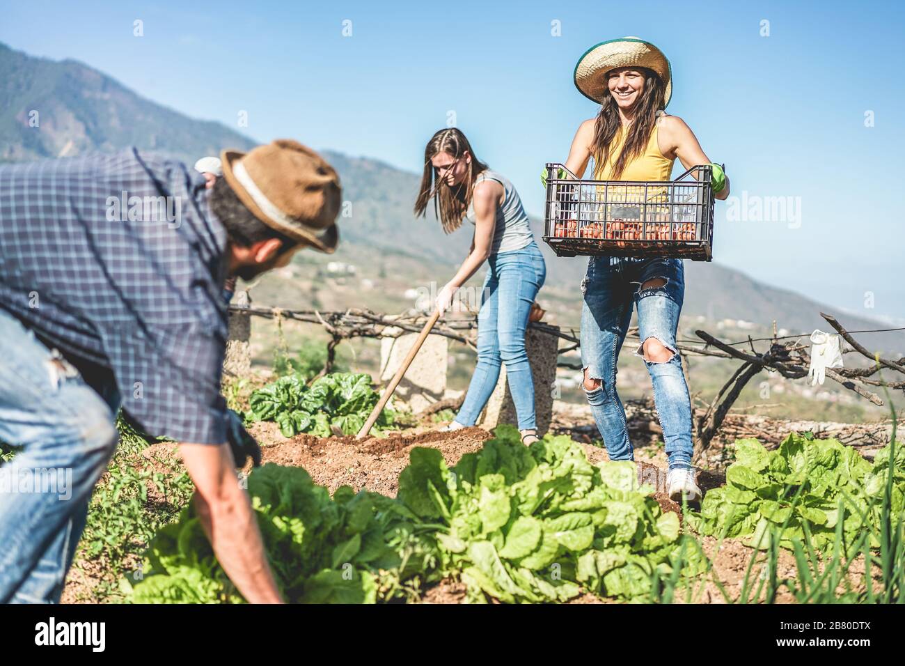 Girl picking oranges hi-res stock photography and images - Alamy