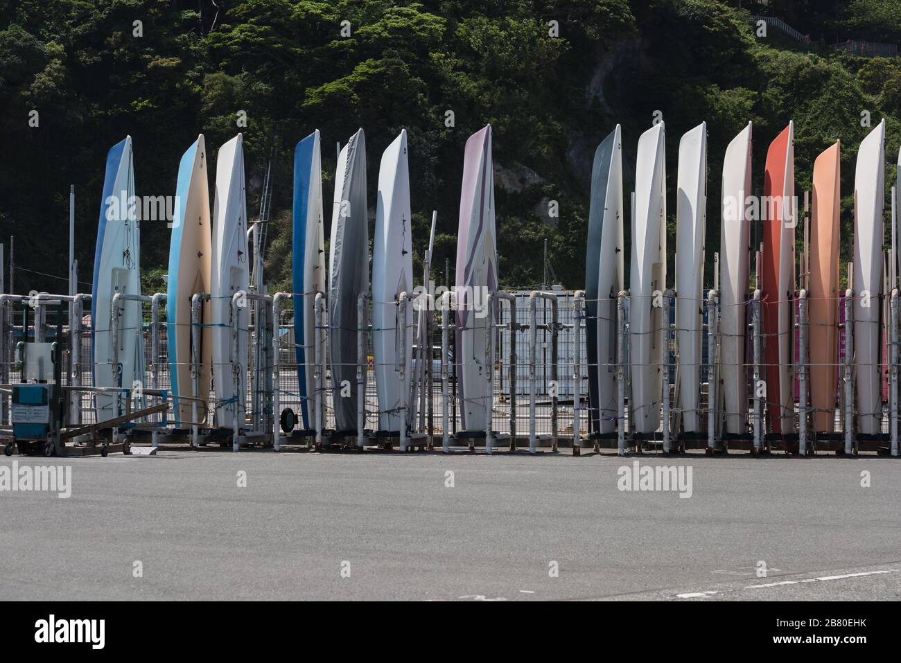 Small sailboats lining the marina's boat yard Stock Photo - Alamy