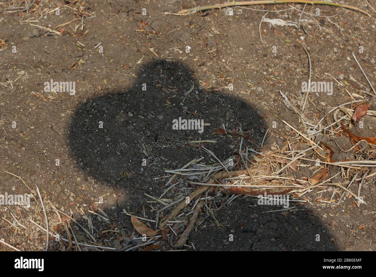 shadow is farmer has hat on floor Stock Photo - Alamy