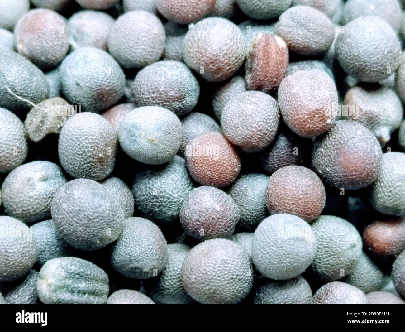 A picture of mustard Stock Photo - Alamy