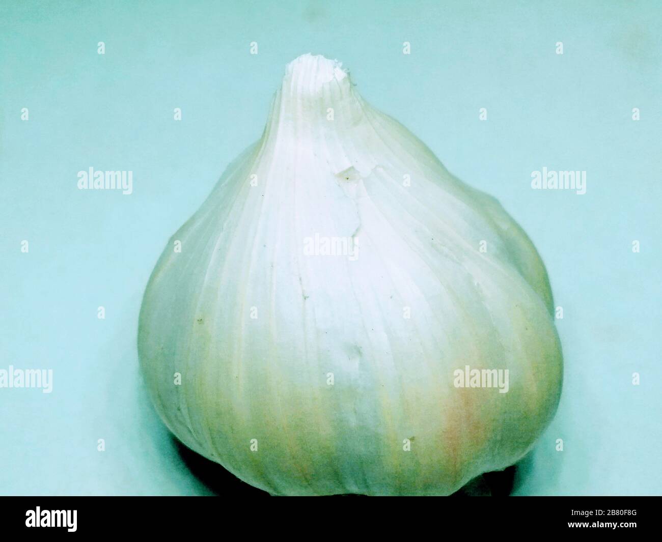 Picture of garlic hi-res stock photography and images - Alamy