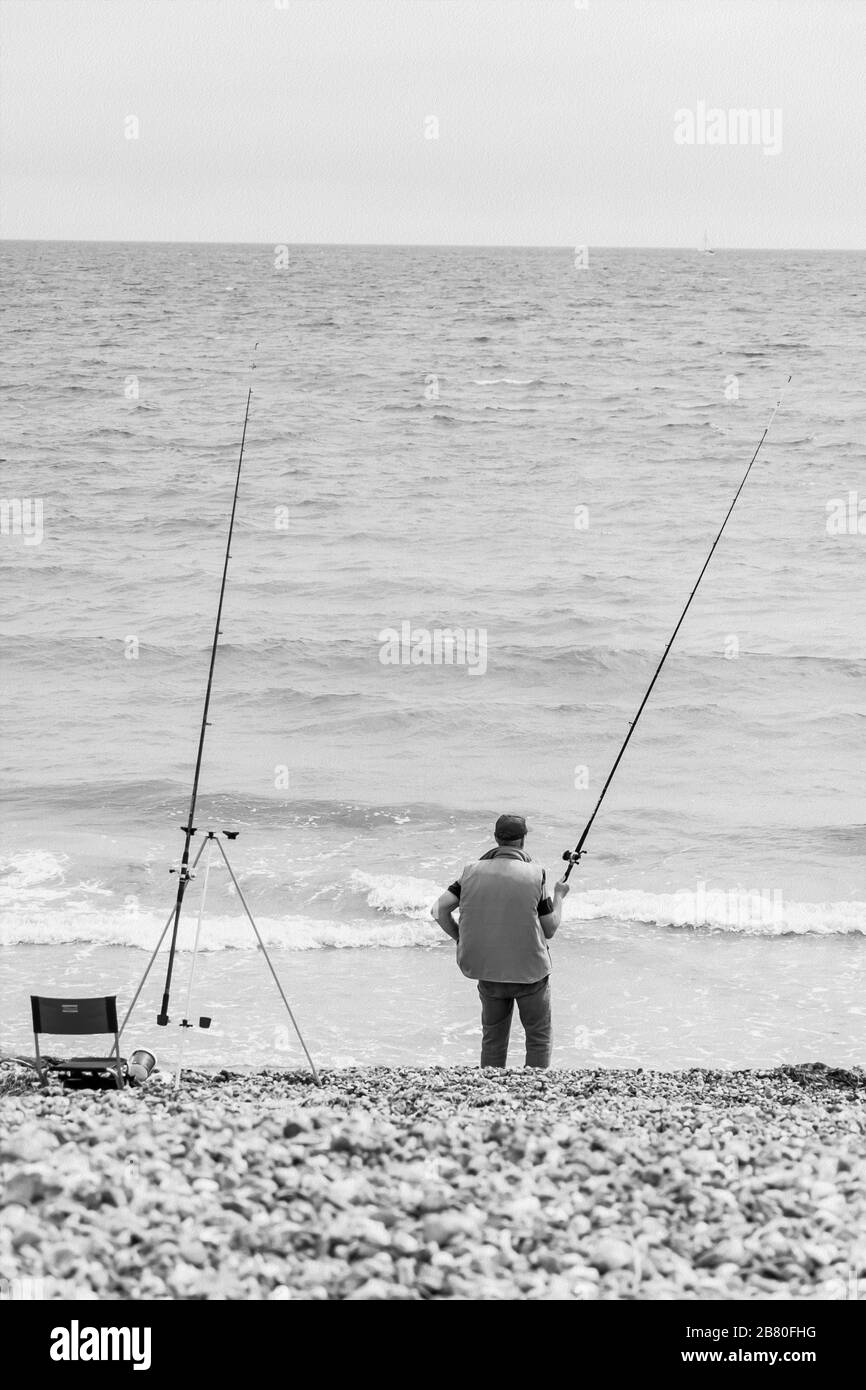 English channel fish Black and White Stock Photos & Images - Alamy