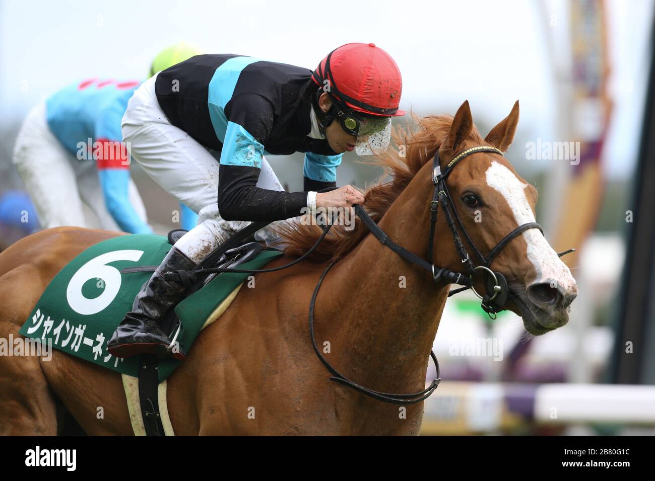 Aichi, Japan. 14th Mar, 2020. Shine Garnet (Hironobu Tanabe) Horse ...