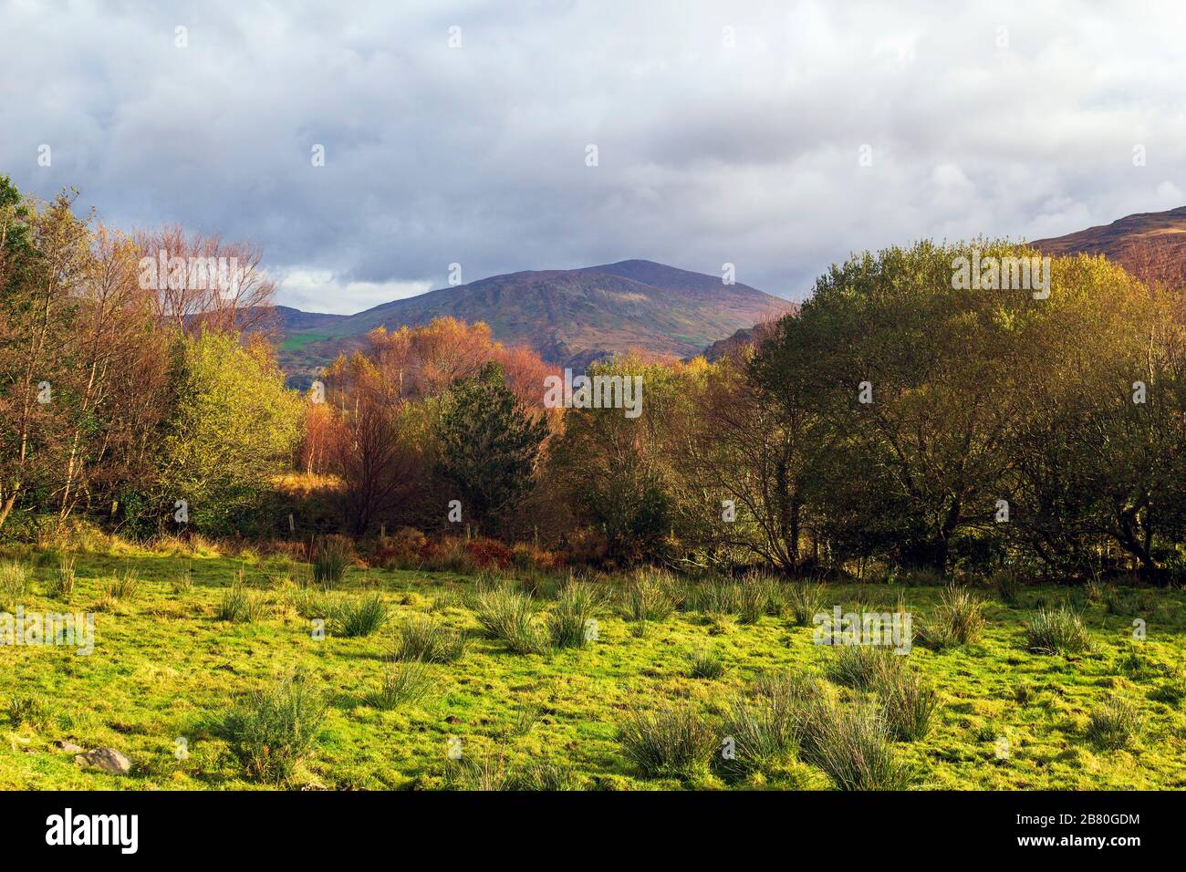 Kerry colours hi-res stock photography and images - Alamy