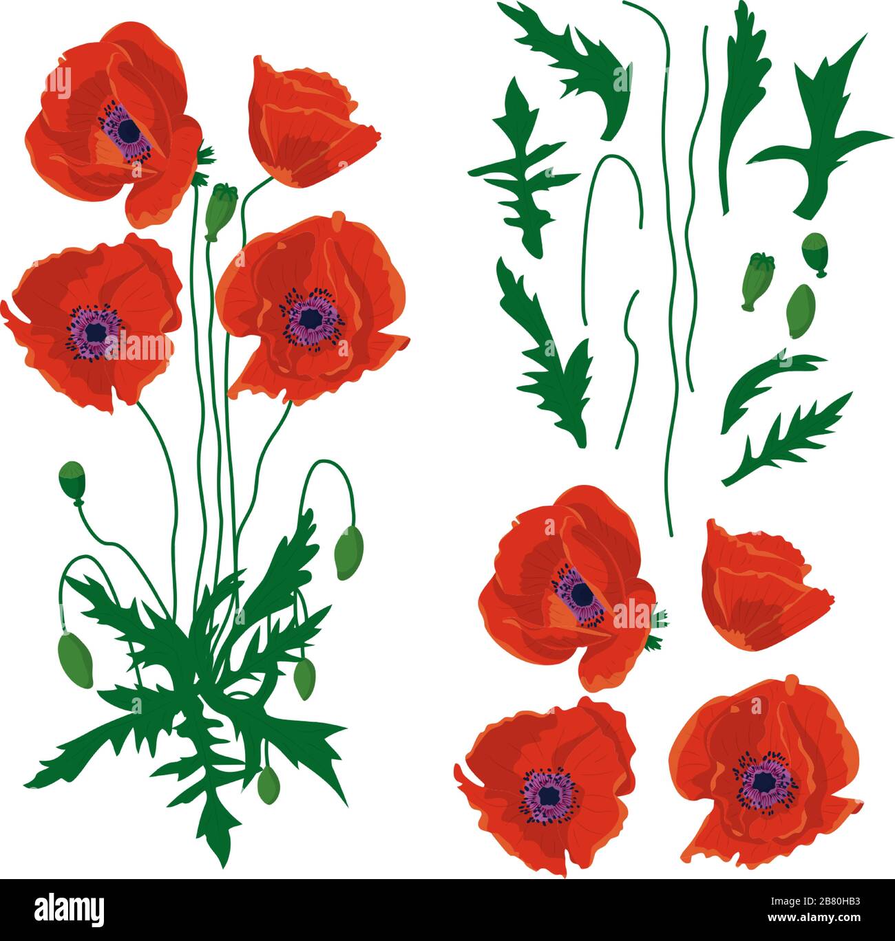 Red poppy flower clipart Stock Vector Images - Alamy