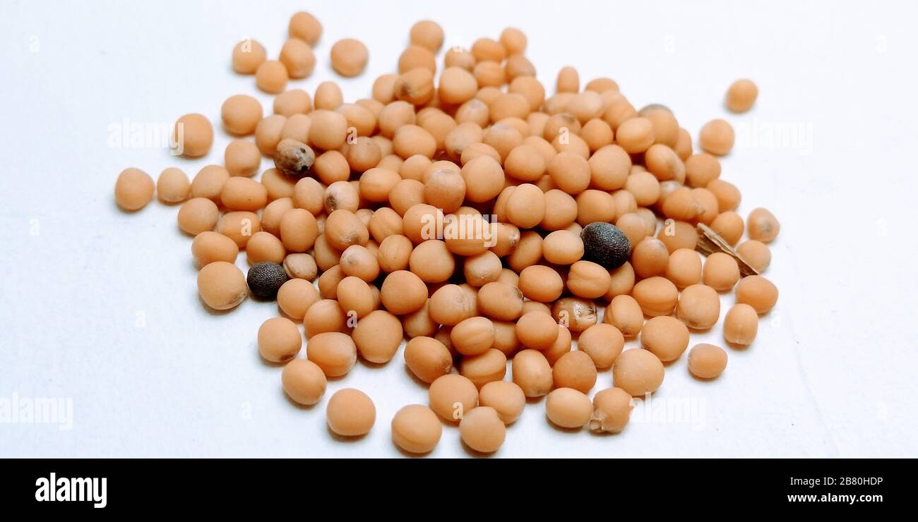 Gourmet whole grain mustard hi-res stock photography and images - Alamy