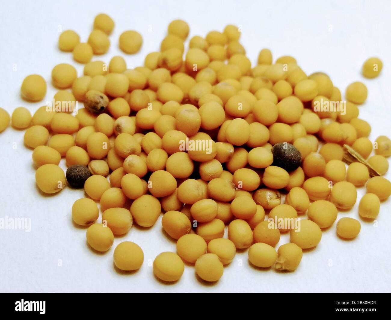 A picture of mustard Stock Photo - Alamy