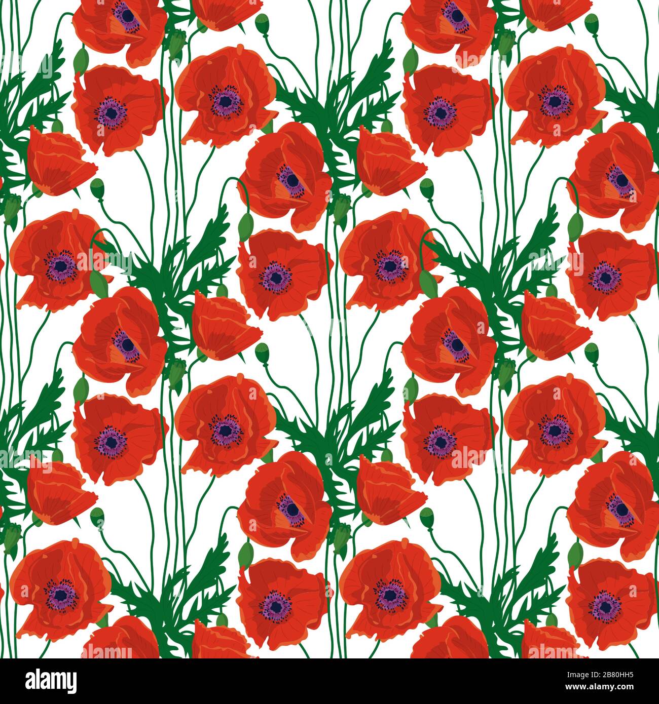Seamless pattern with hand drawn red poppy flowers on white background ...