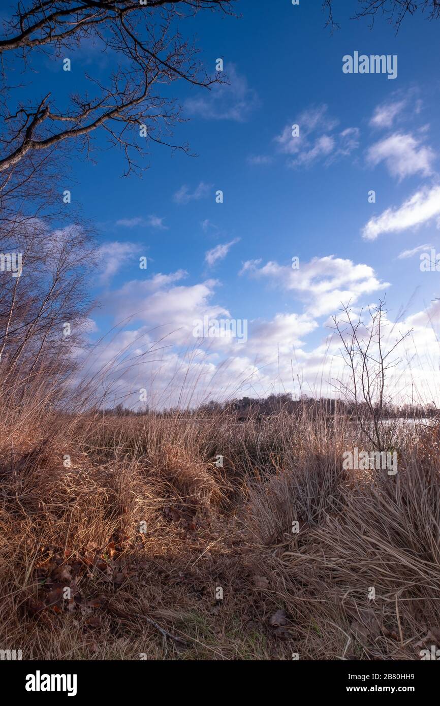 Landscape view at sunset, large nature reserve with a lake, white ...