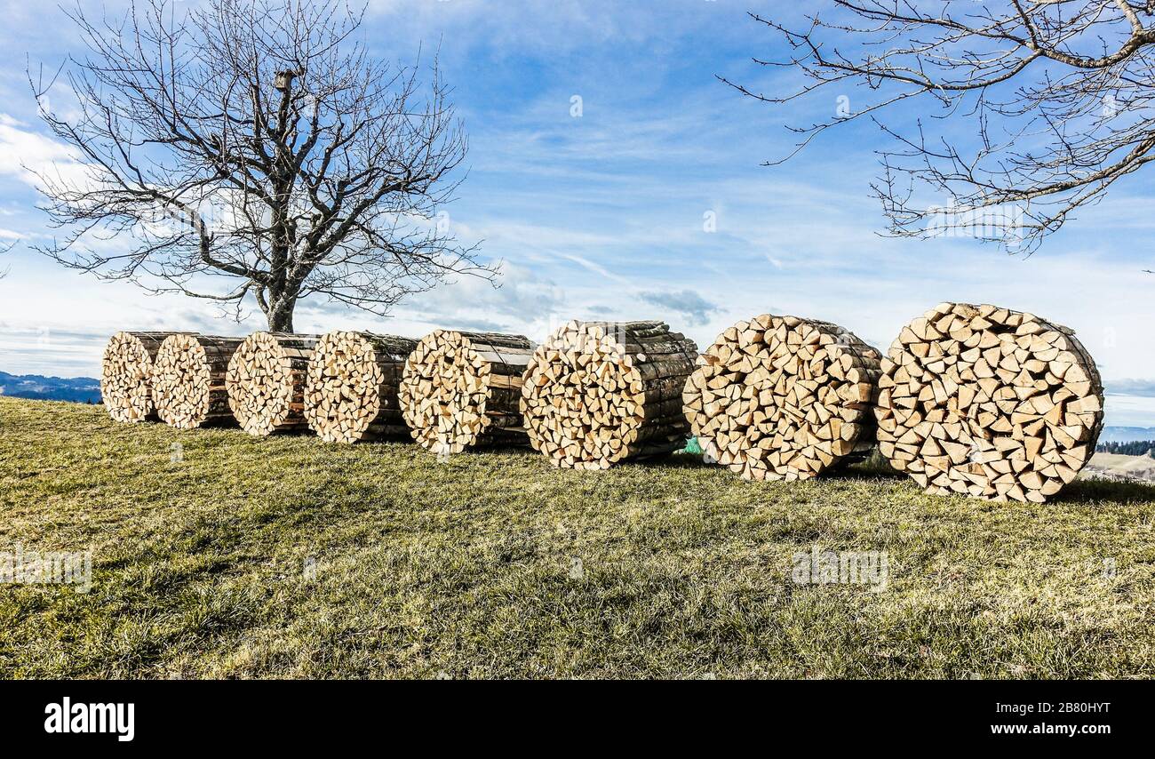 Cut wood circle piles outdoor in mountain countryside - Farmer and ...