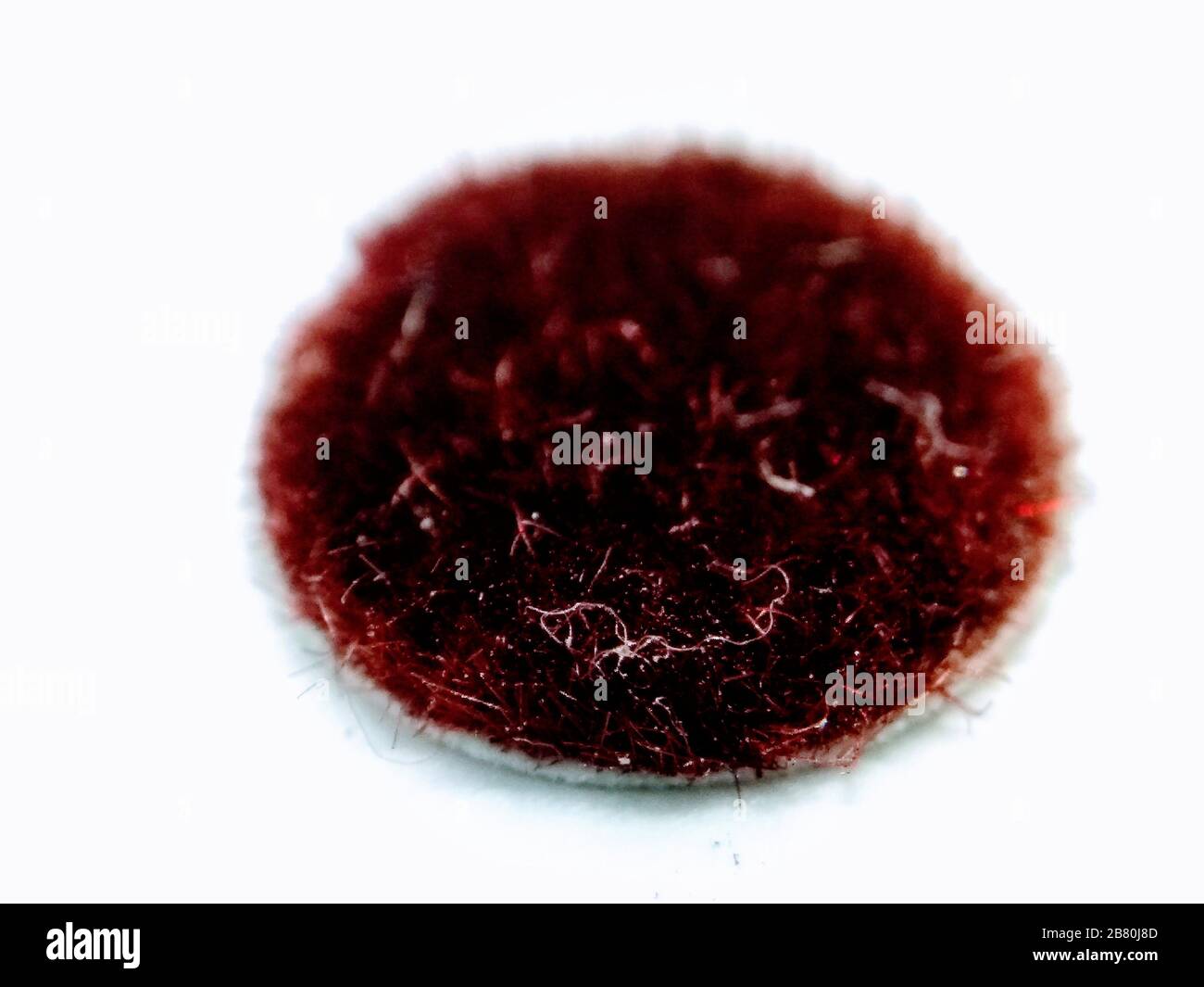 Red bindi hi-res stock photography and images - Alamy