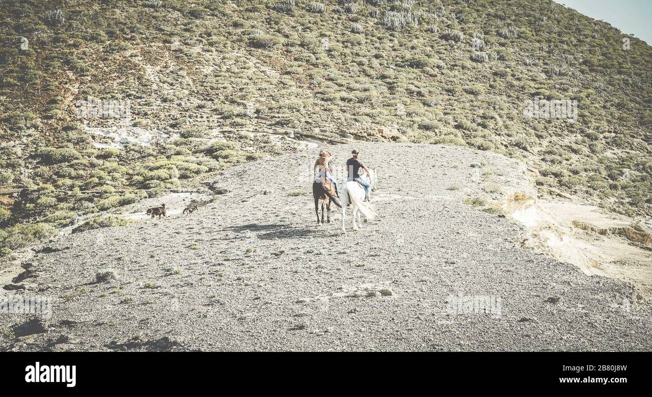 Couple riding horses around countryside in nature with their dogs ...