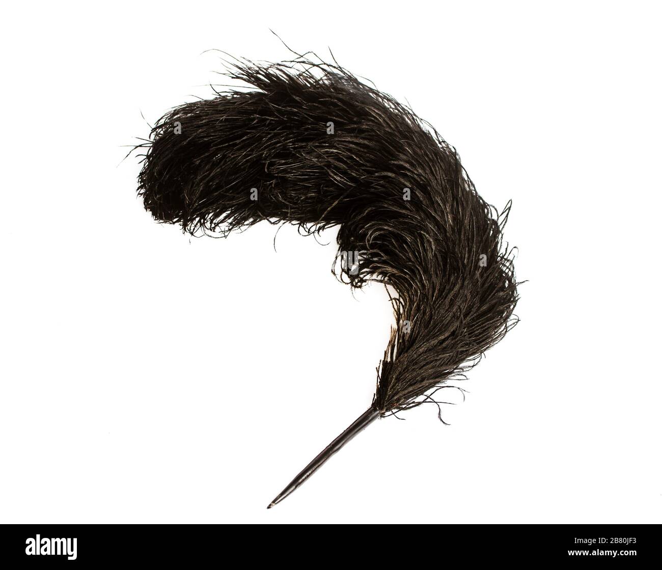 One large Cut Out Stock Images & Pictures - Alamy