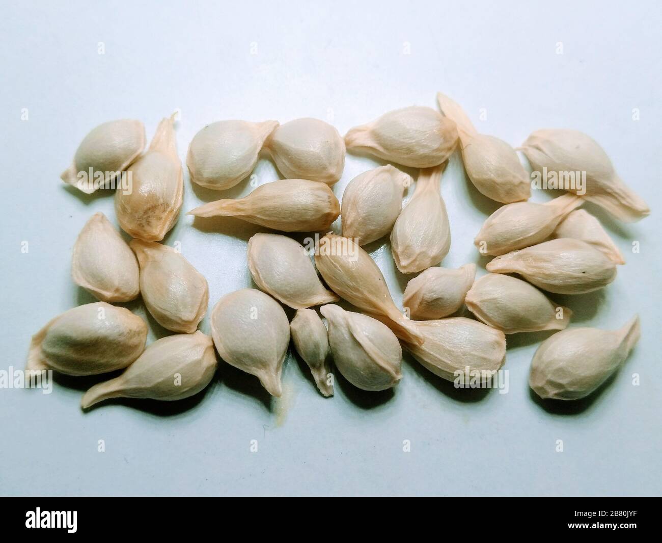 A picture of orange and lemon seeds Stock Photo - Alamy