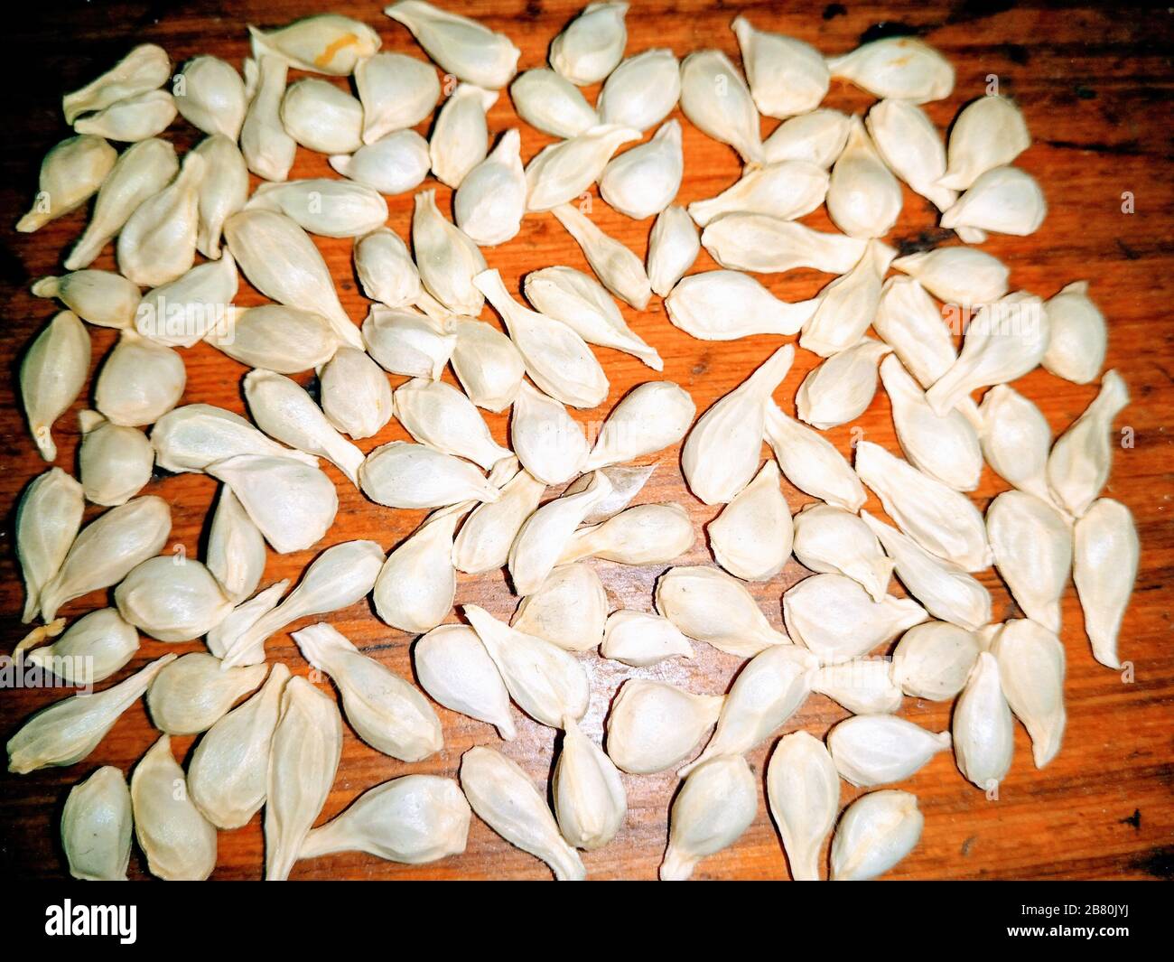 A picture of orange and lemon seeds Stock Photo - Alamy