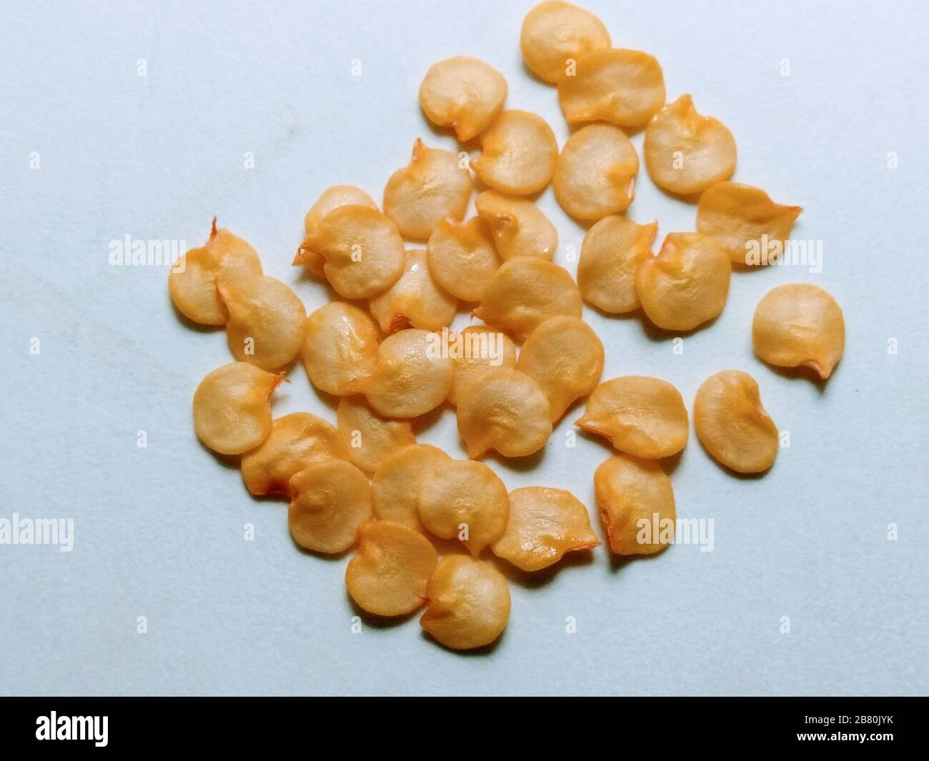 Seed of red chili isolated on white background Stock Photo - Alamy