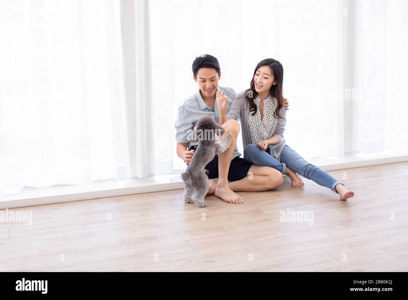 Happy young Chinese couple playing with dog in living room Stock Photo ...